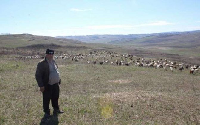 Lectie de viata! Un taran roman a ridicat un imperiu agricol de la un ...